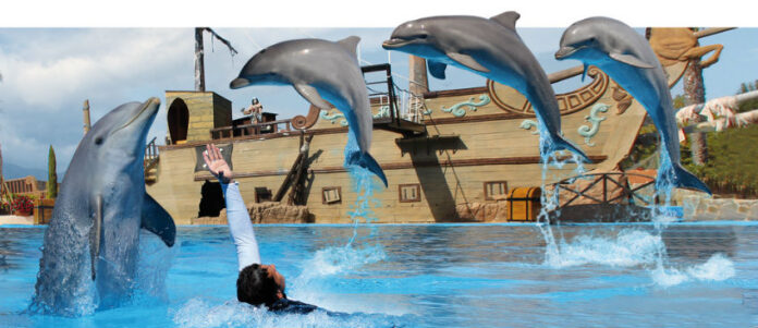 The Best Theme Parks In Benidorm Spain